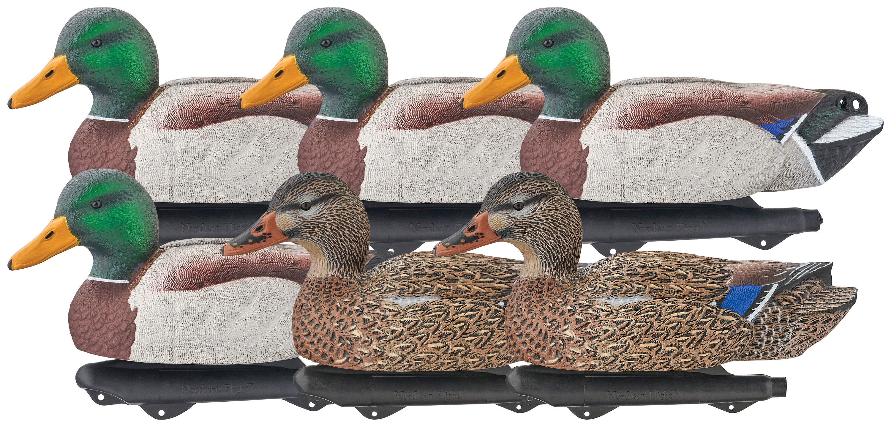 Northern Flight Pro Series Mag Mallards Duck Decoys Active 6 Pack ...